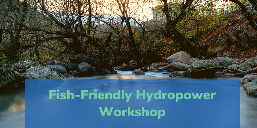 About Fish-Friendly Hydropower Workshop